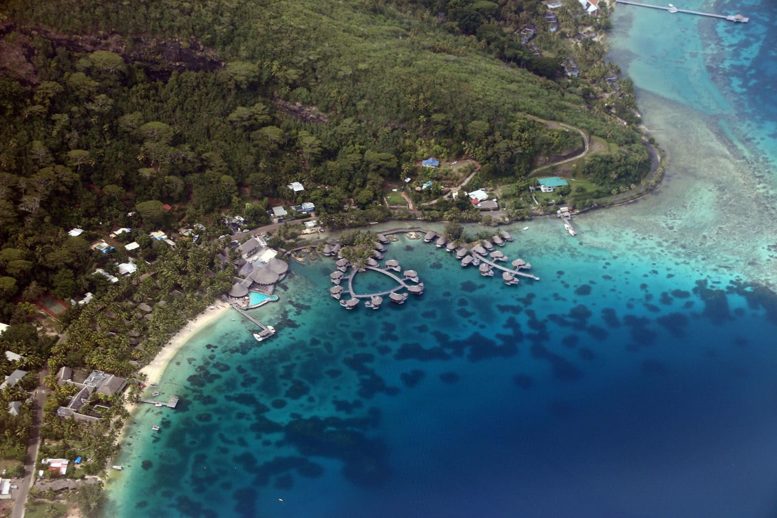 Snorkel em Bora Bora: mergulho com tubarões e arraias