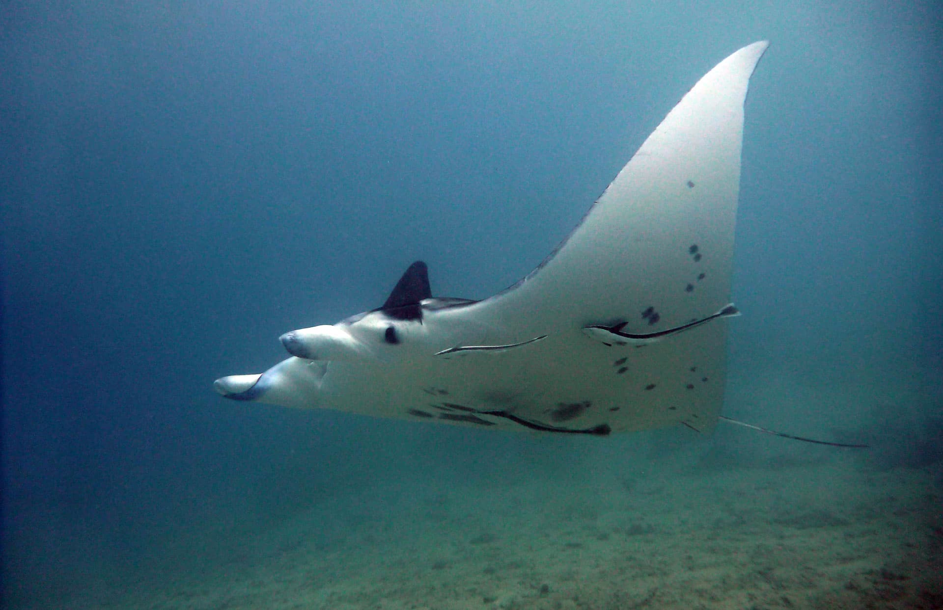 Bora Bora: onde fica, o que fazer e dicas especiais de quem já foi lá!